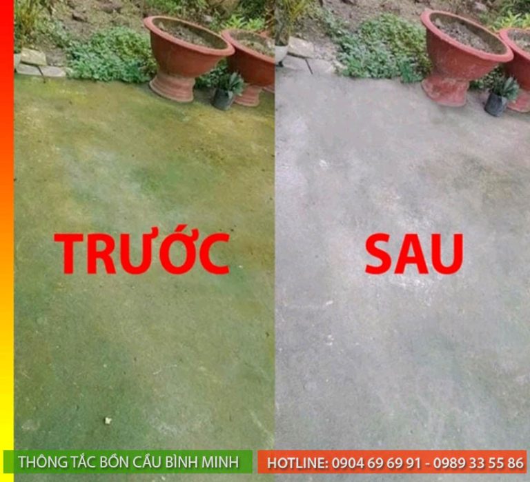 Thuốc tẩy rong rêu trên nền xi măng - [TOP 5] loại tốt nhất