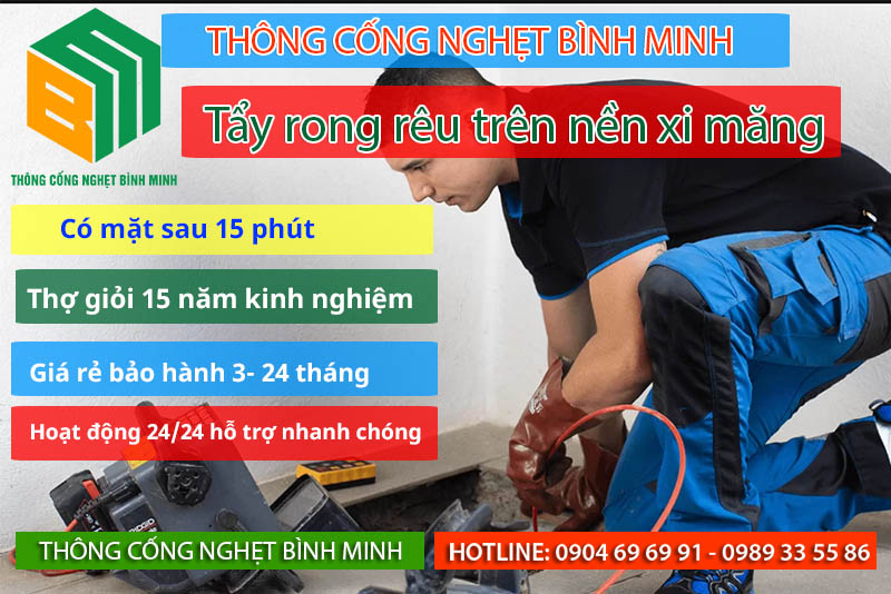 Thuốc tẩy rong rêu trên nền xi măng - [TOP 5] loại tốt nhất